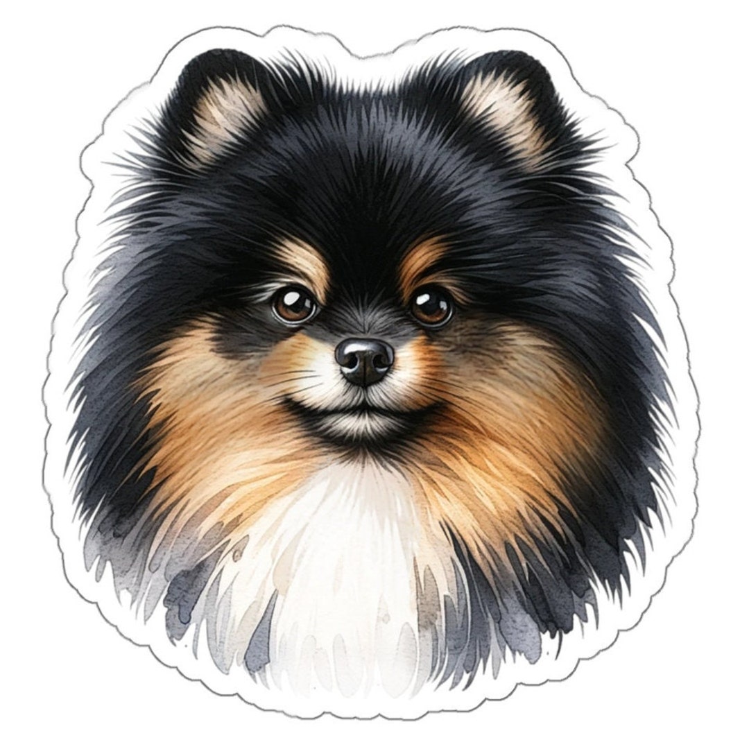 Tri-color Parti Pomeranian Sticker: Glossy Vinyl Dog Decal - Etsy