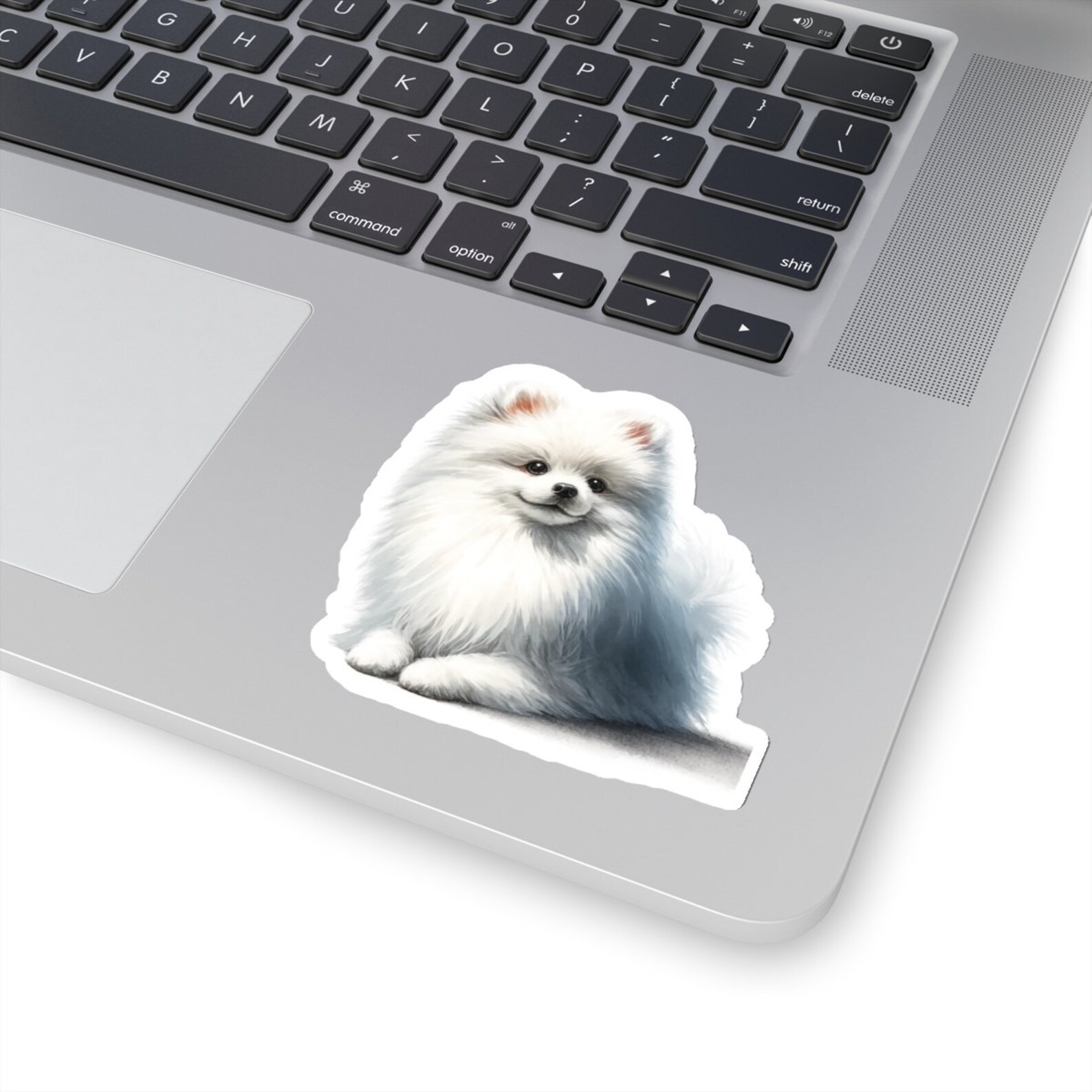 White Pomeranian Sticker: Glossy Pom Decal for Dog Lovers - Etsy