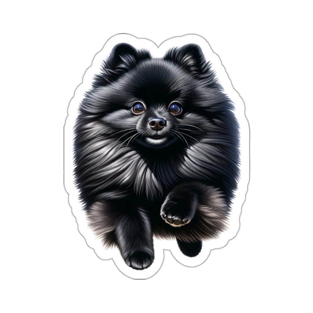 Black Pomeranian Sticker: Glossy Dog Decal for Pet Lovers - Etsy