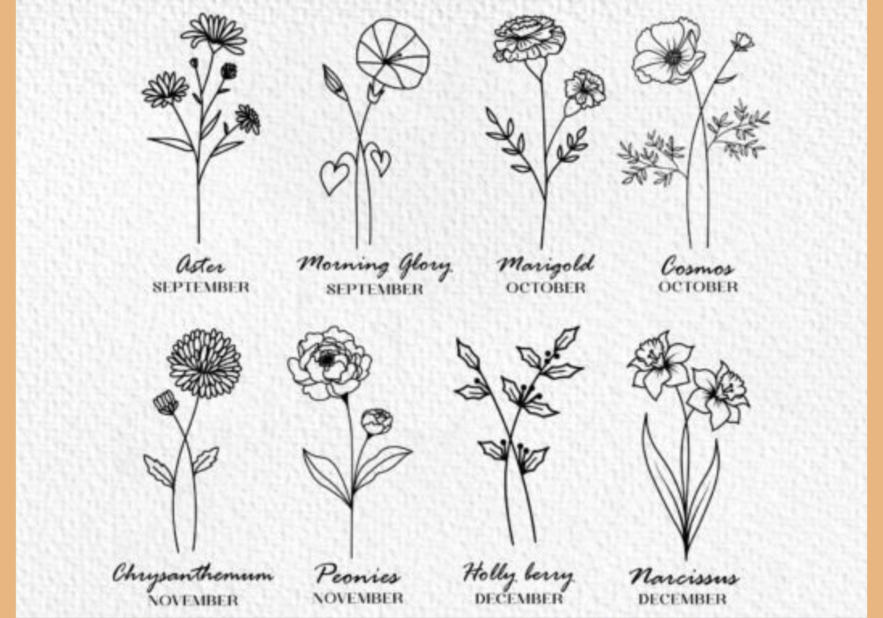 Birth Month Flower Svg Bundle Clipart-flower Svg Birth - Etsy