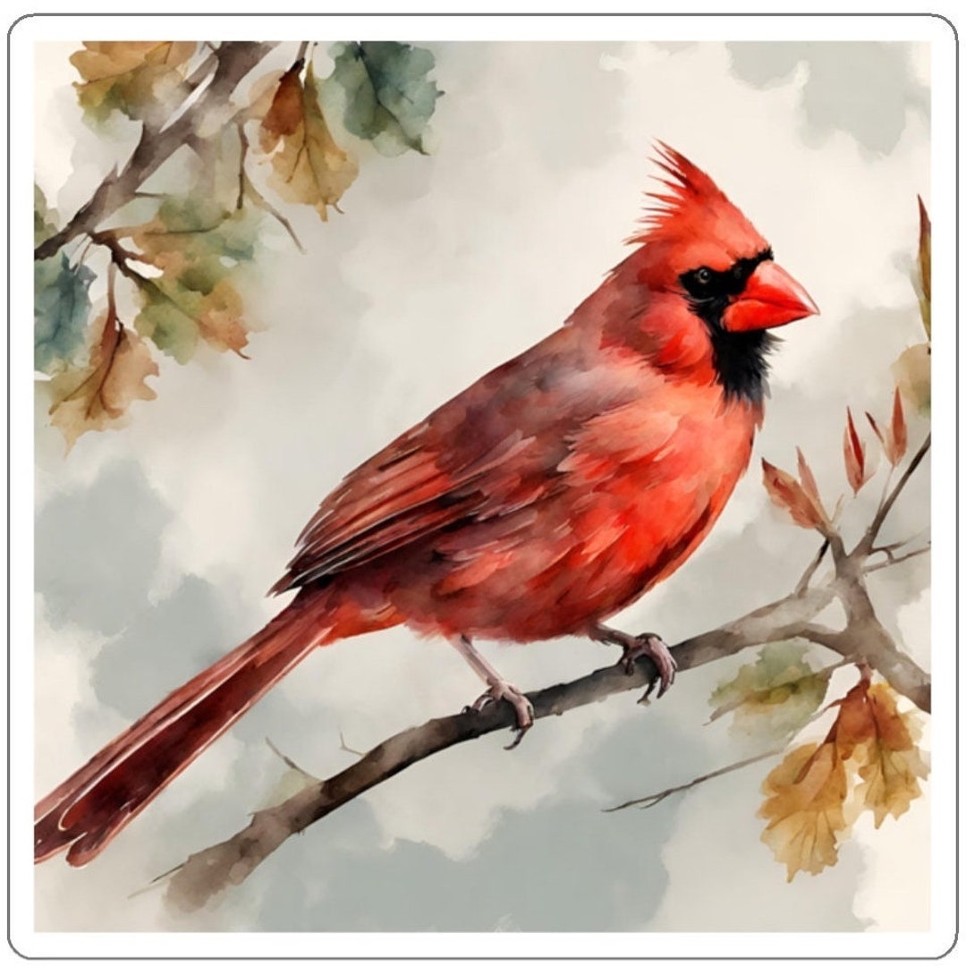 Cardinal Water Resistant Sticker, Durable and Weatherproof Sticker ...