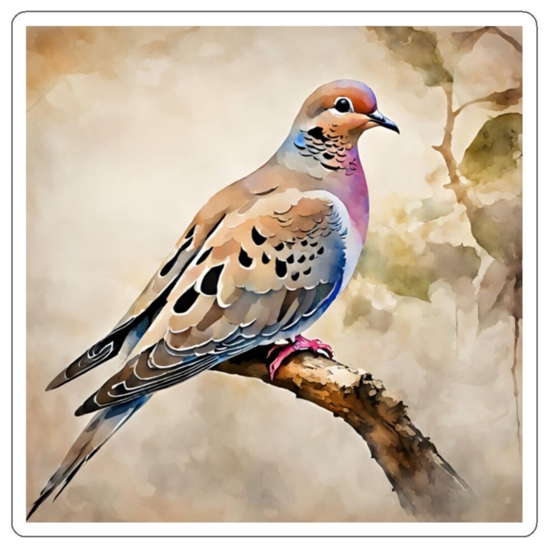 Mourning Dove Water Resistant Sticker, Durable and Weatherproof Sticker ...