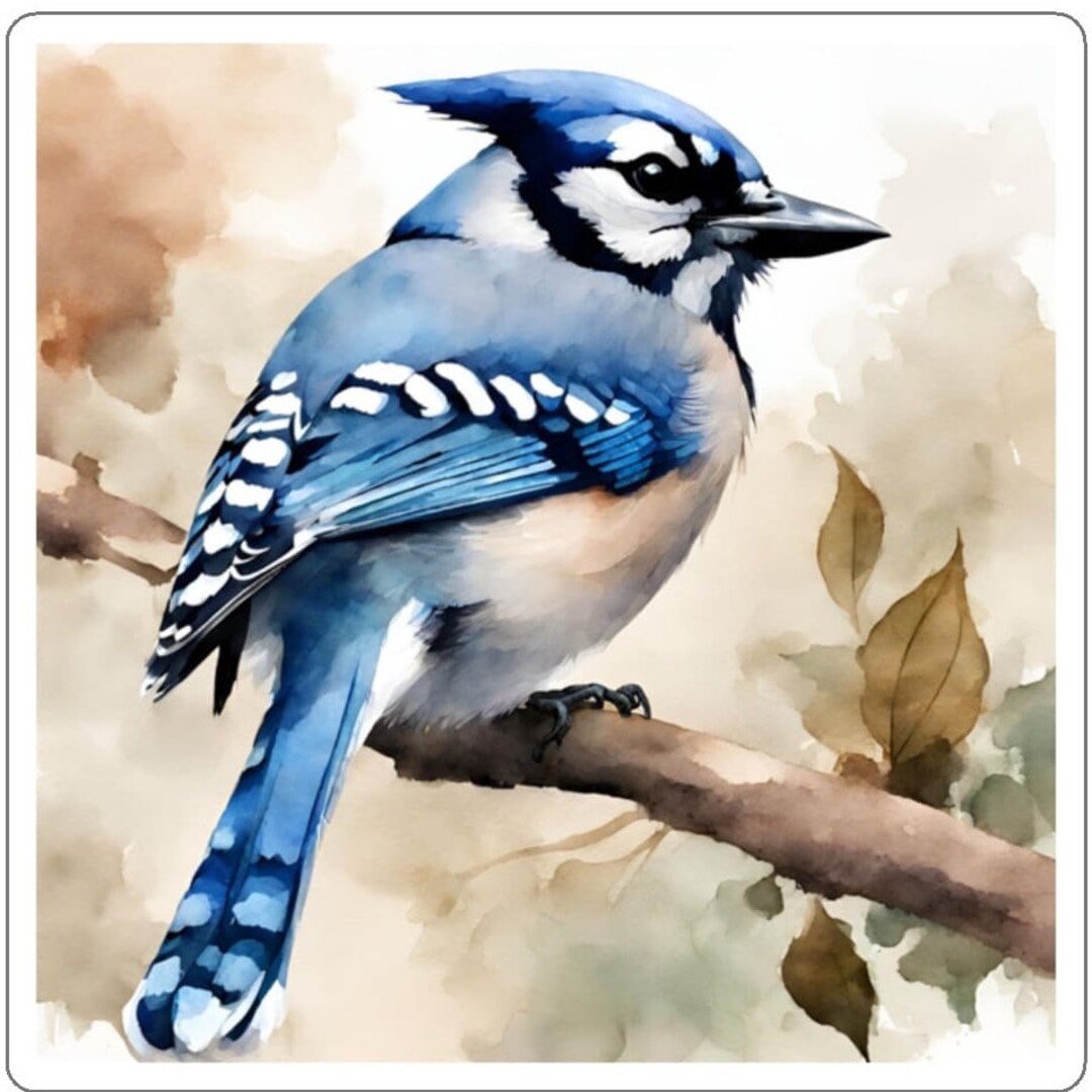 Blue Jay Water Resistant Sticker, Durable and Weatherproof Sticker ...