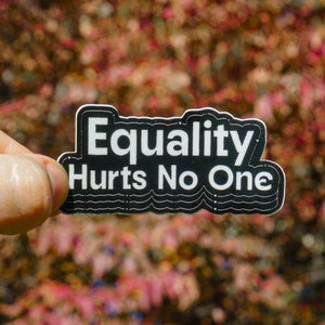 Equality Sticker, Equal Rights Vinyl Sticker, Defend Equality, LGBTQ ...