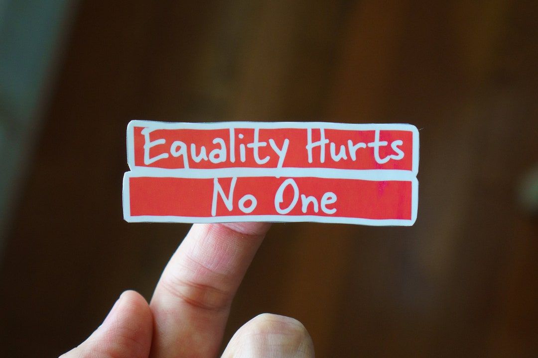 Equality Vinyl Sticker, Equal Rights, Defend Equality, LGBTQ, Women's ...