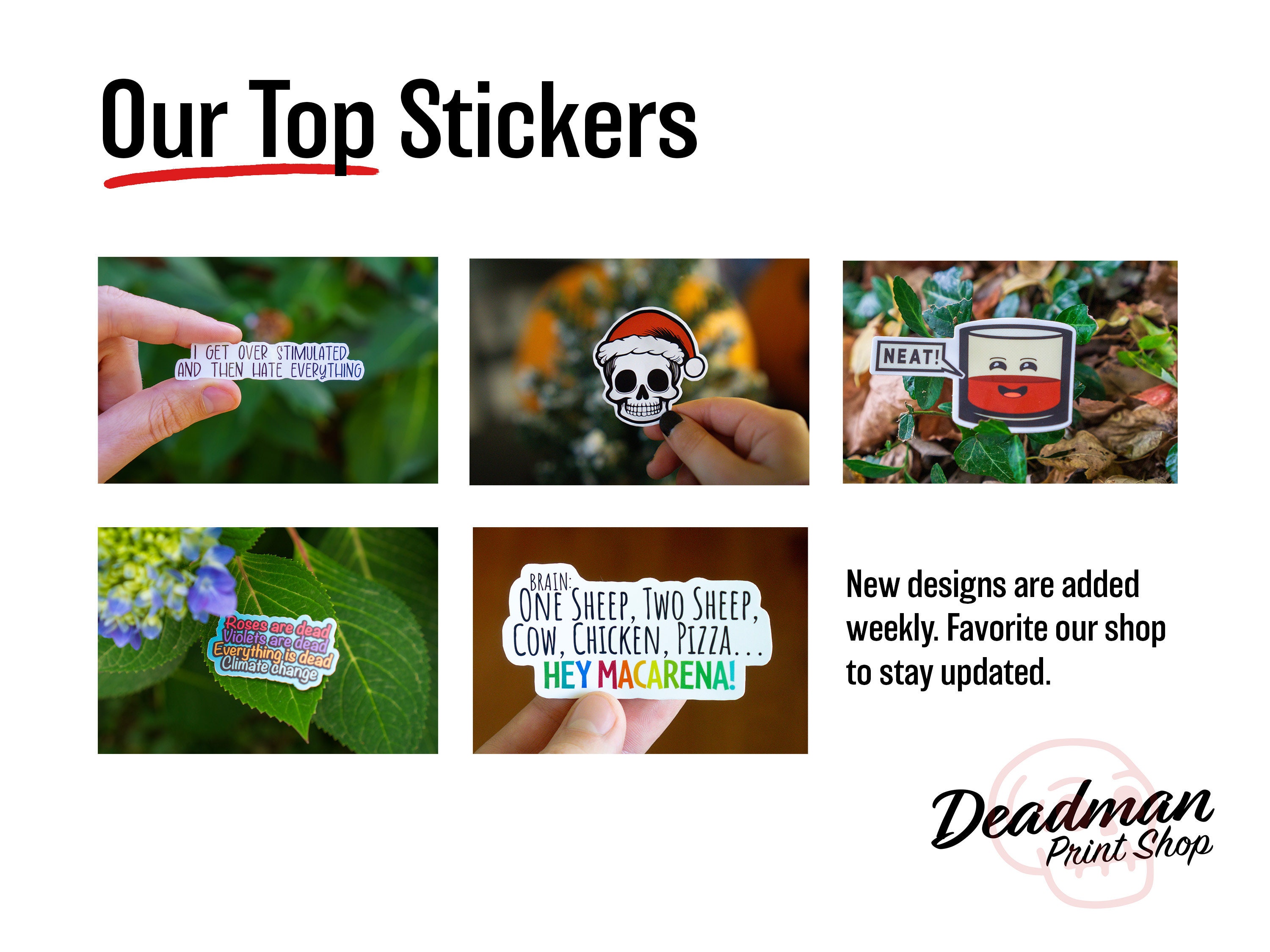 Regulation Before Expectation Sticker ADHD Neurodivergent - Etsy