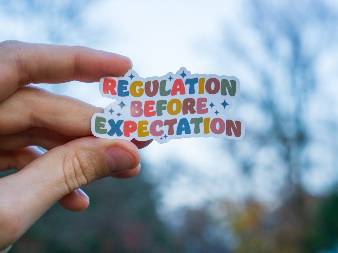 Regulation Before Expectation Sticker, ADHD Neurodivergent Teacher ...