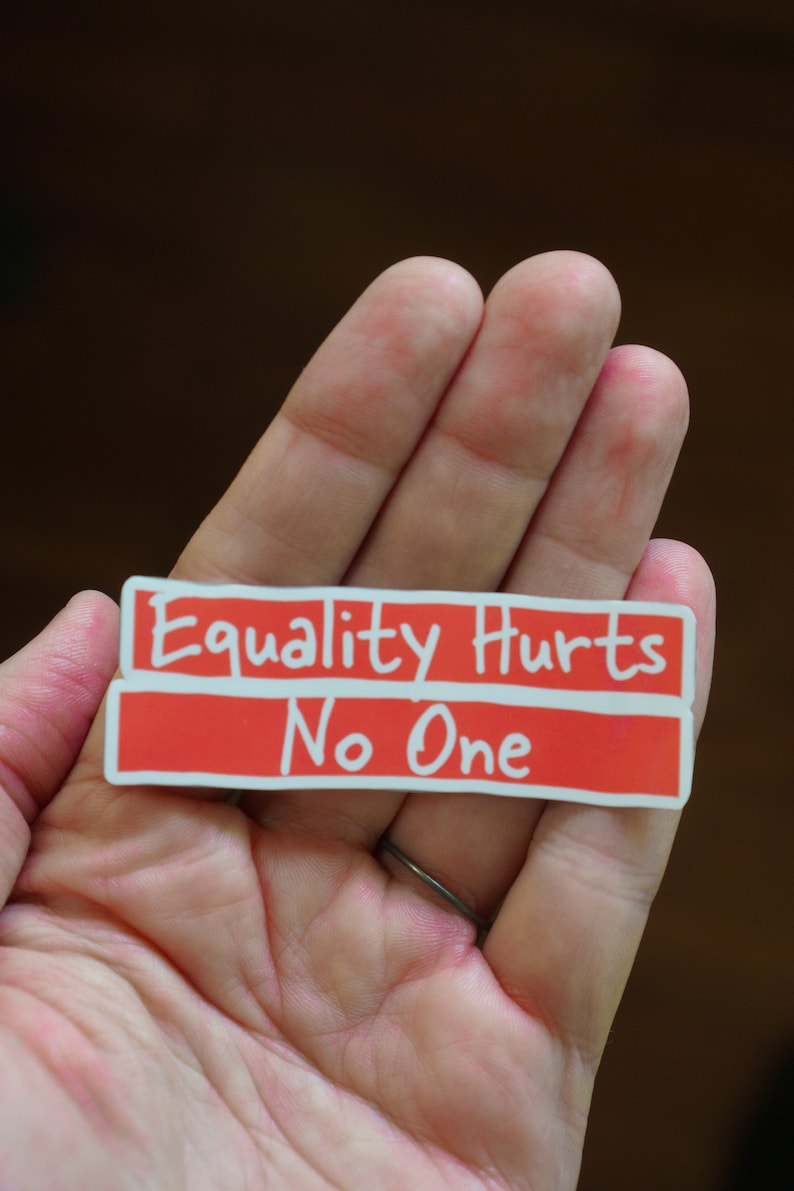 Equality Vinyl Sticker, Equal Rights, Defend Equality, LGBTQ, Women's ...