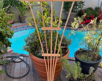 Fan Garden Trellis With Ground Anchor - Etsy