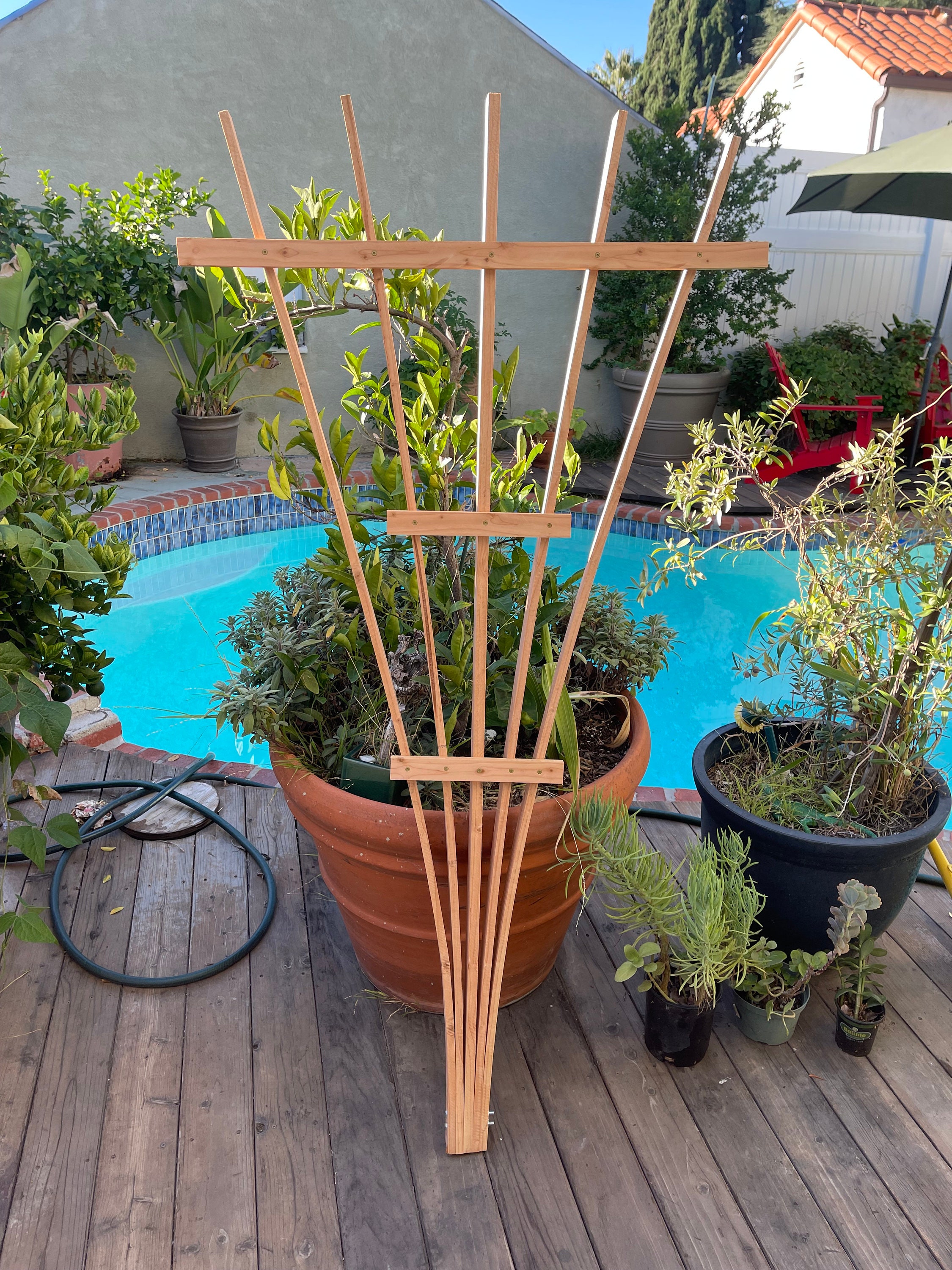 Garden Fan Trellis - Etsy