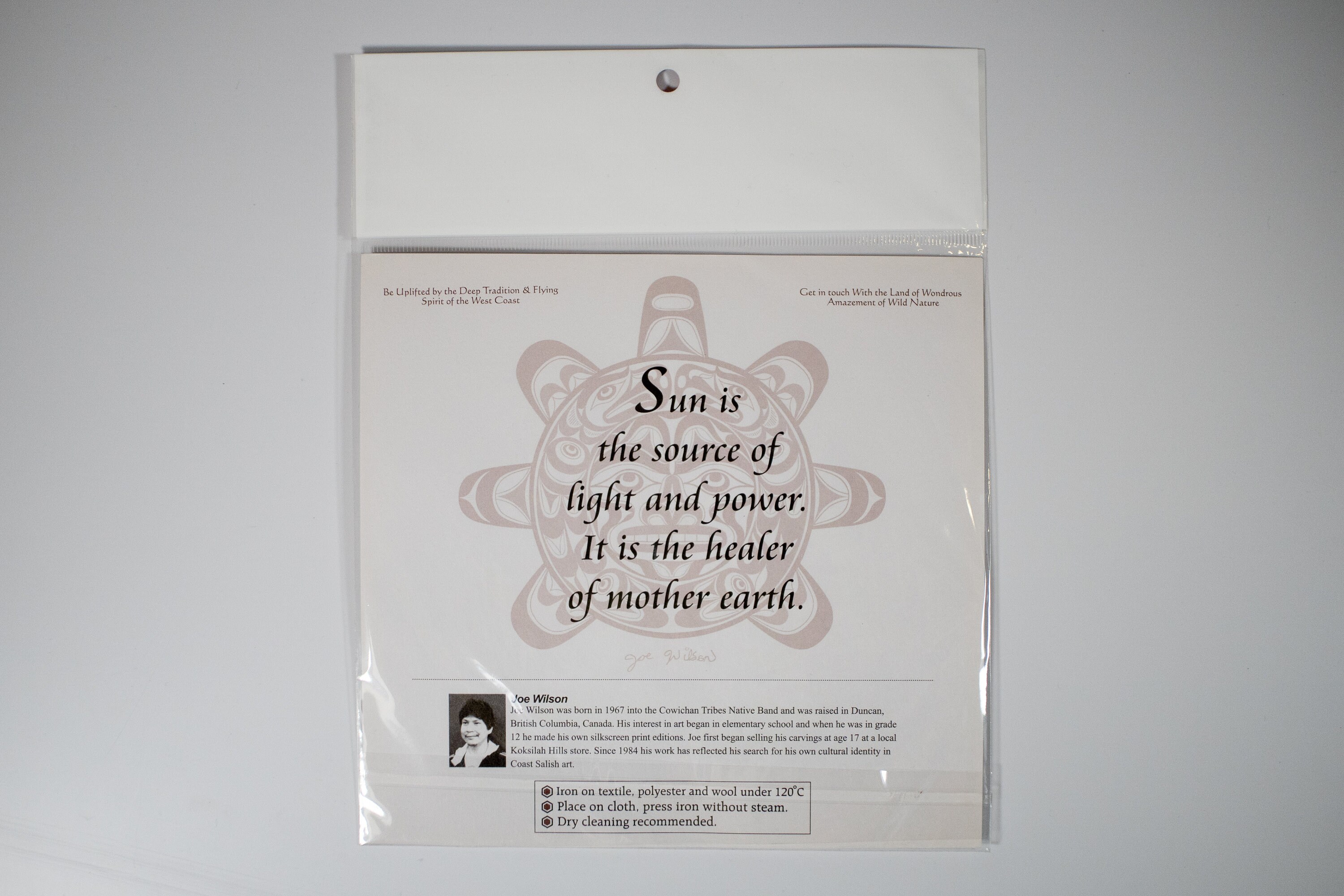 Coast Salish 'sun' Indigenous Design by Joe Wilson | Iron-on 20cm ...