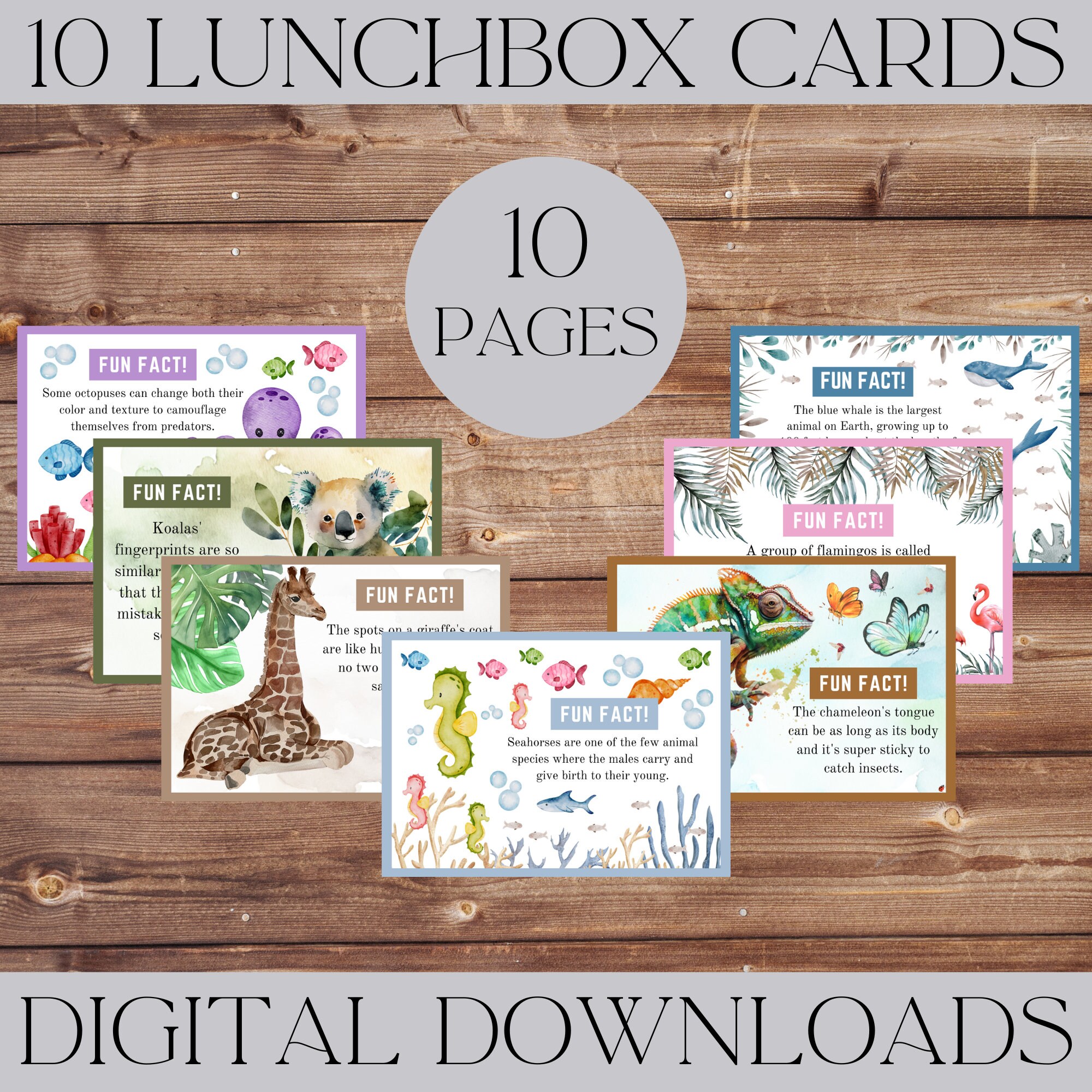 Animal Fun Facts | Lunchbox Notes | Kids | Flashcards | Fun Facts ...