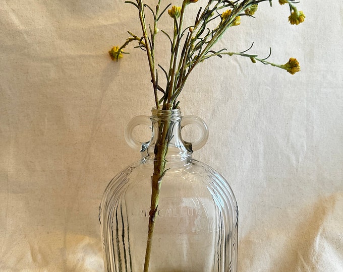 Glass Jug } Antique Glass Bottle } 2 Handles } One Gallon } Art Deco ...