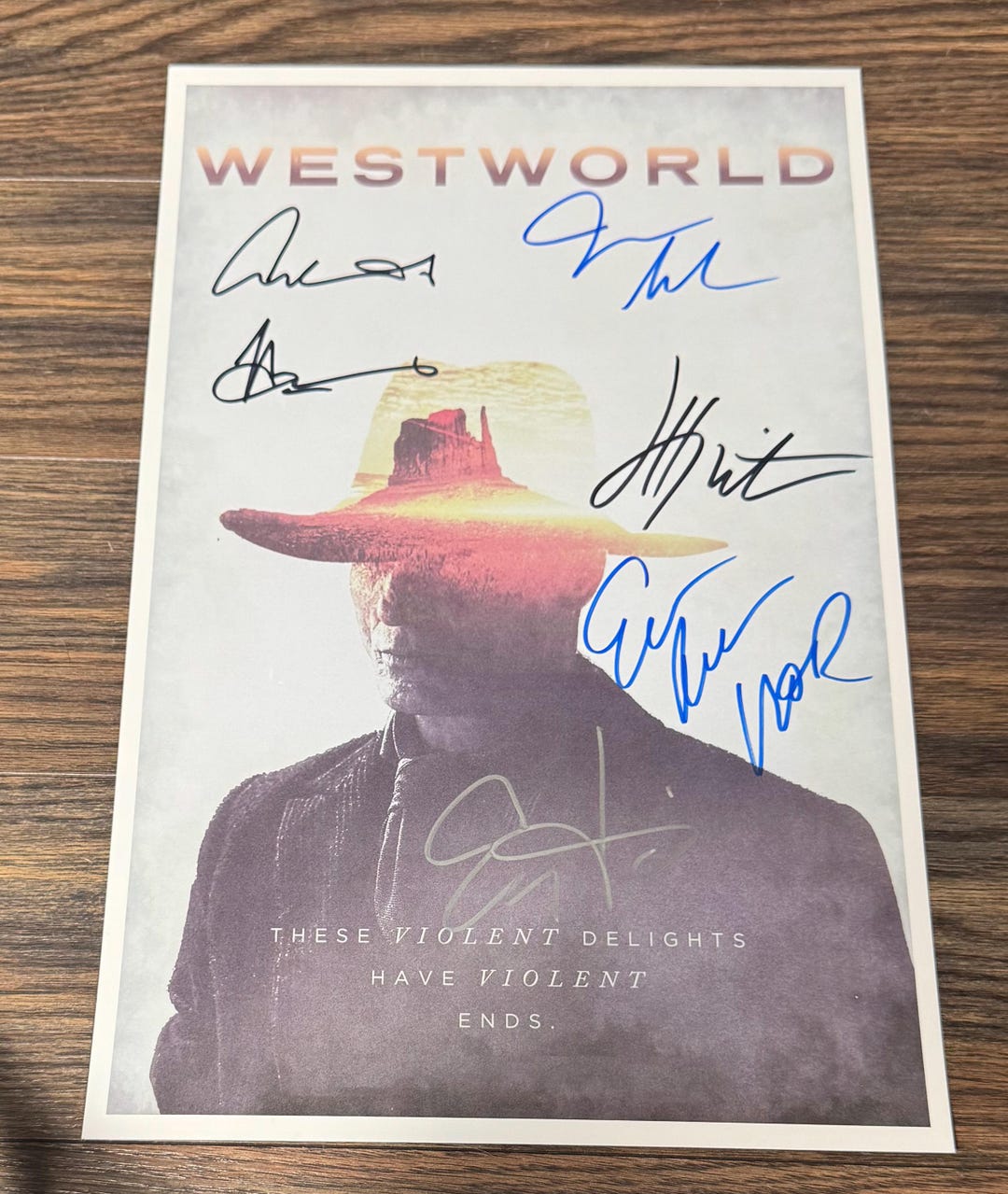 WESTWORLD Signed Movie Poster, Autographed by Ed Harris, Evan Rachel Wood, Anthony Hopkins ...