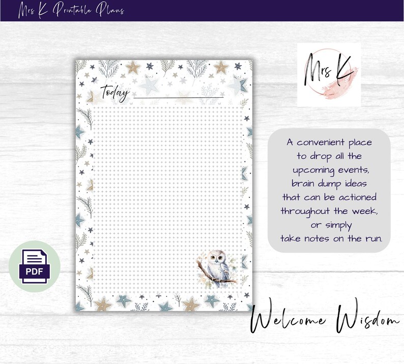 Printable Daily Schedule for Happy Planner, Snowy Owl Design, January ...