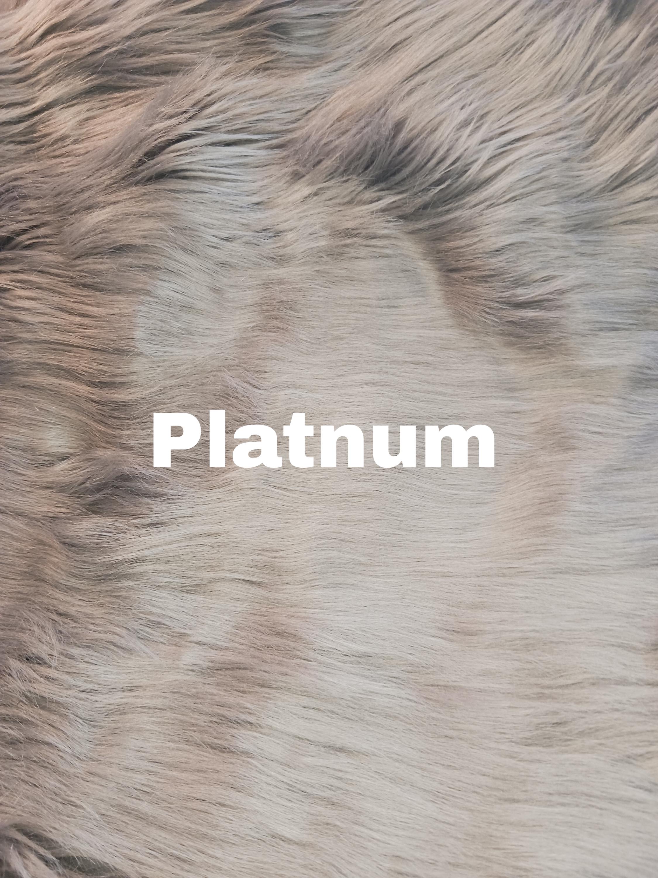 Worm off the String Plush - Etsy