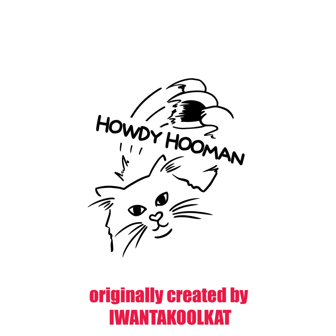 Funny CAT Decal, Howdy Hooman, Cat Stickers. Laptop Decal - Etsy