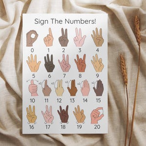 ASL Numbers 0-20 Poster Set | Educational Wall Art | Number Chart ...