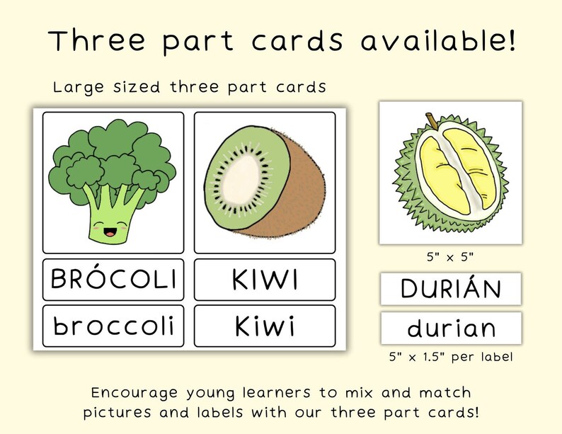 45 Spanish and English Bilingual Fruits and Vegetables Flash Cards ...