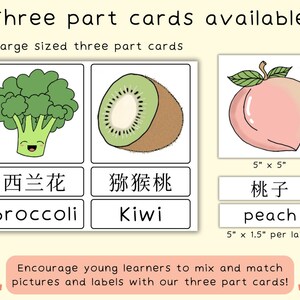 45 Mandarin and English Bilingual Fruits and Vegetables Flash Cards ...