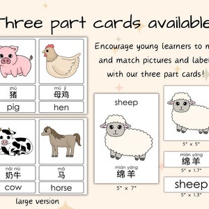 24 Simplified Chinese and English Bilingual Farm Animals Flashcards ...