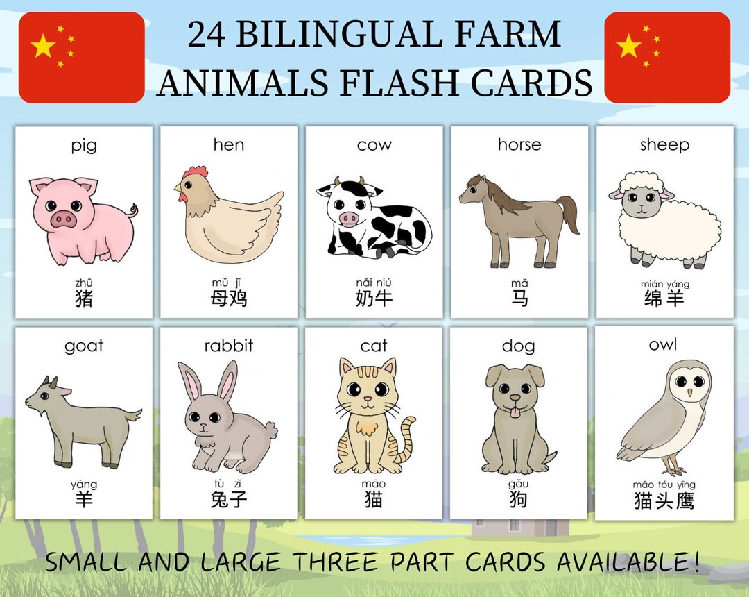 24 Simplified Chinese and English Bilingual Farm Animals Flashcards ...