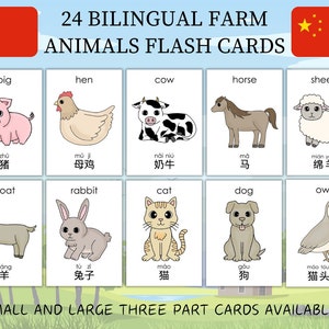 24 Simplified Chinese and English Bilingual Farm Animals Flashcards ...