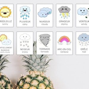 French and English Weather Flash Cards | Bilingual Weather Toddler ...