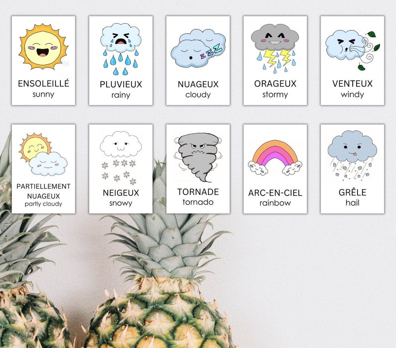 French and English Weather Flash Cards | Bilingual Weather Toddler ...