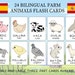 24 Spanish and English Bilingual Farm Animals Flashcards | Preschool ...
