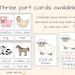 24 Spanish and English Bilingual Farm Animals Flashcards | Preschool ...