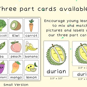 45 Fruits and Vegetables Flash Cards | Montessori Flashcards ...