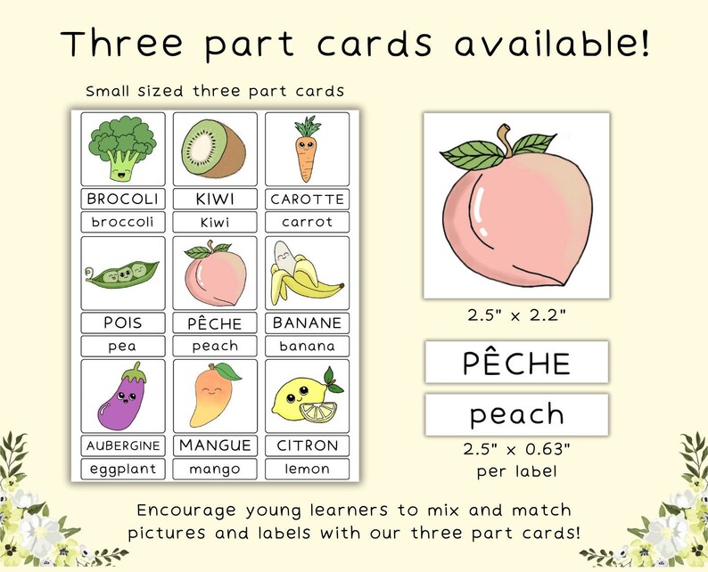 45 French and English Bilingual Fruits and Vegetables Flash Cards ...