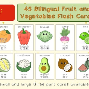 45 Mandarin and English Bilingual Fruits and Vegetables Flash Cards ...