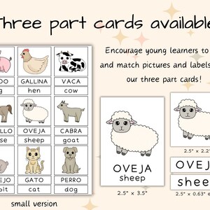 24 Spanish and English Bilingual Farm Animals Flashcards | Preschool ...