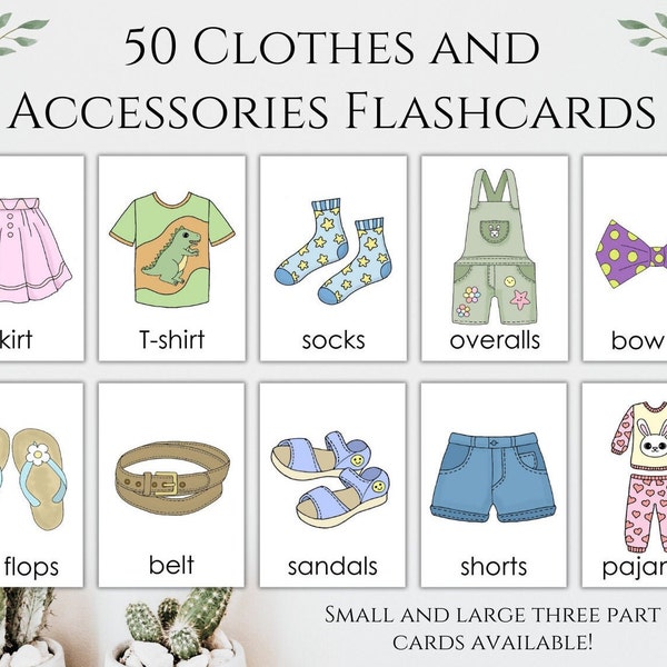 Flash Cards - Etsy