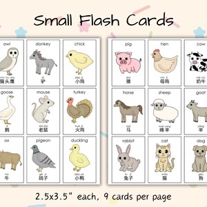 24 Simplified Chinese and English Bilingual Farm Animals Flashcards ...
