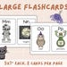 26 Halloween Alphabet Flashcards | Halloween ABC A-Z Flashcards ...