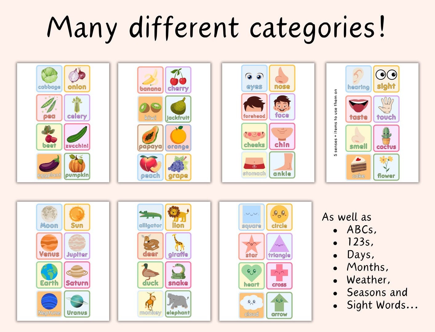 Circle Time Board | Preschool Learning Wall | Homeschool Focus Wall ...