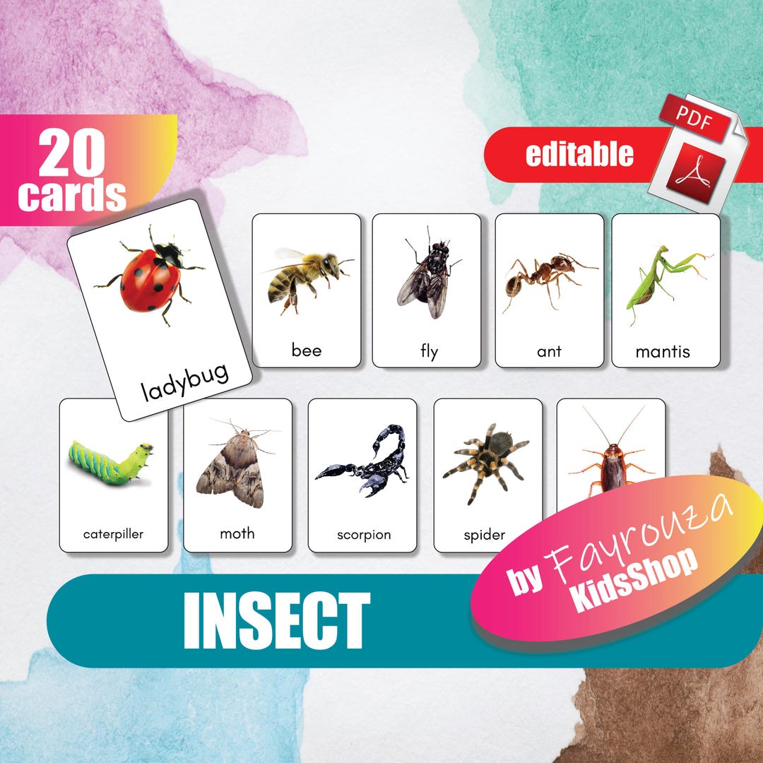 Insect Nomenclature Montessori Flash Cards - Etsy