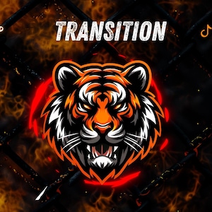 Animated Stream Pack Tiger, Stream Overlay, Webcam Overlay, Twitch ...