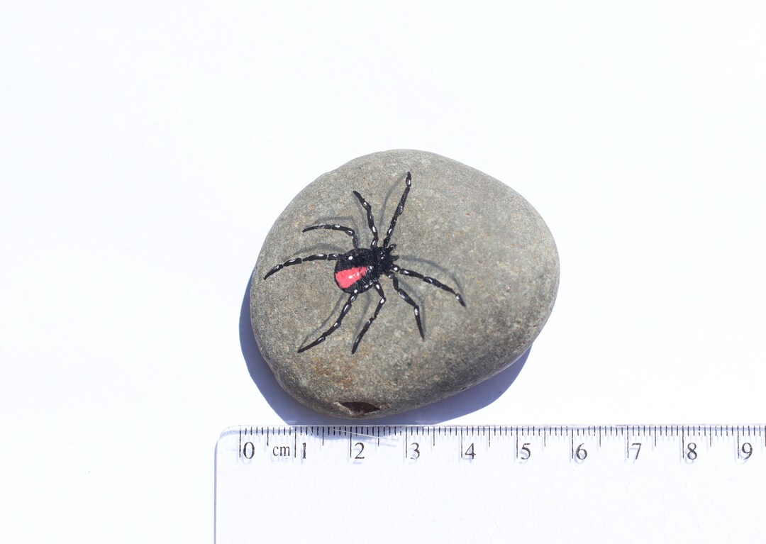Small Australian Redback Spider Hand Painted - Etsy