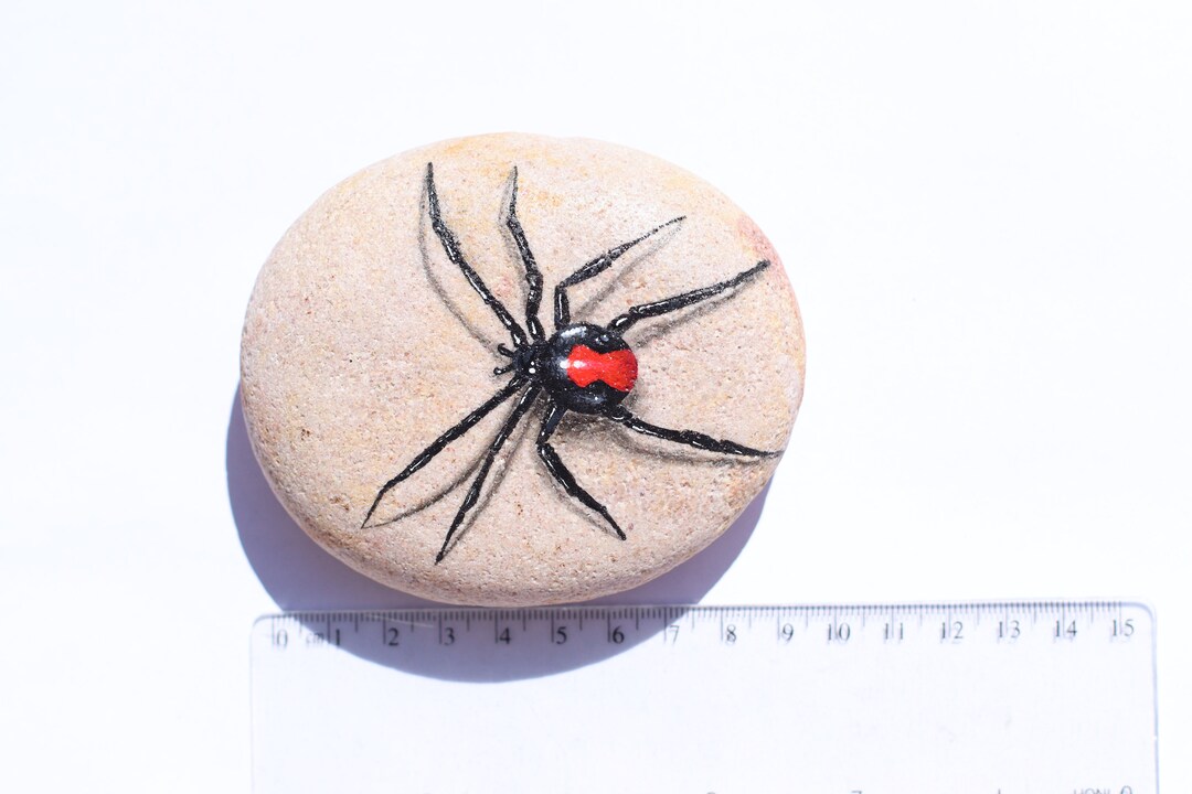 Large Australian Redback Spider Hand Painted Rock - Etsy