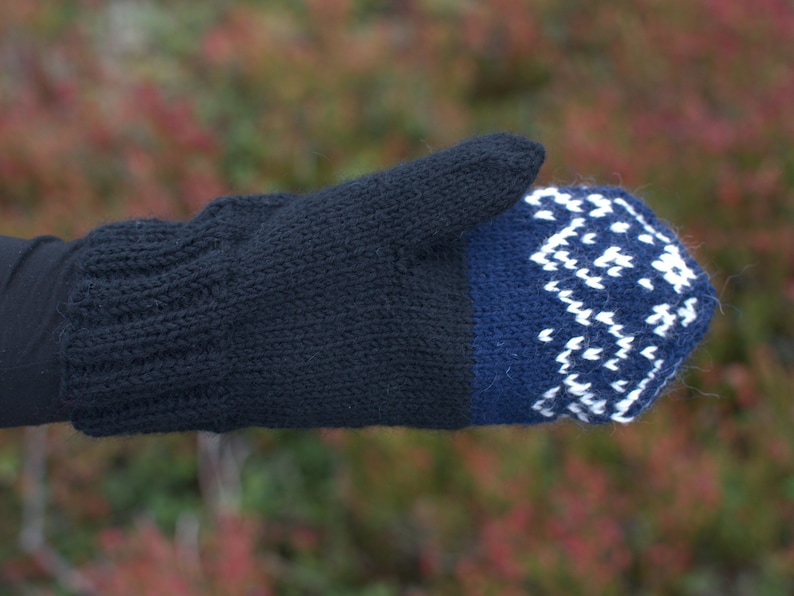 Milky Way Kitty Mittens Knitting Pattern - Etsy