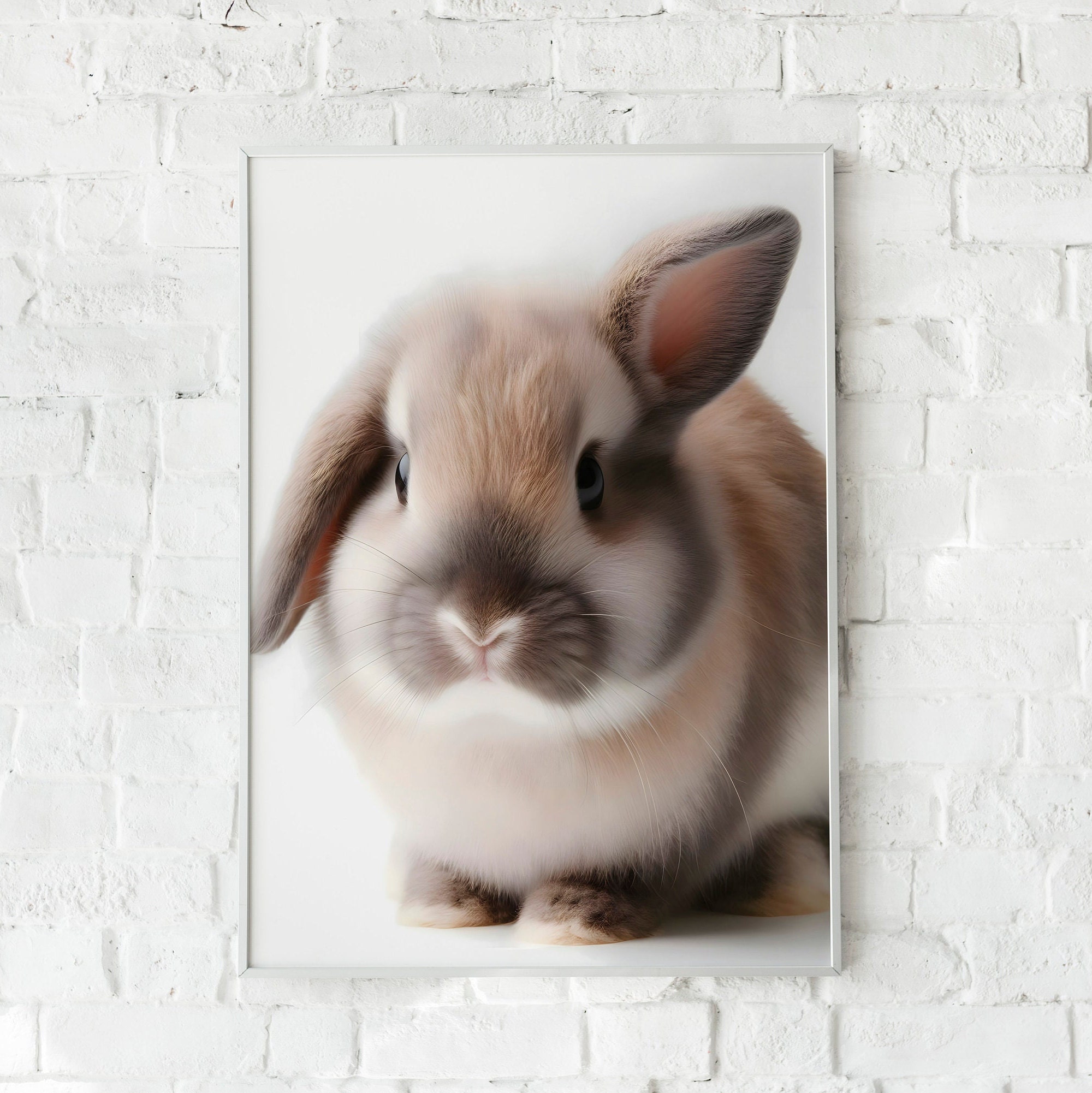 Mini Lop, Rabbit Art, Bunny Poster, Holland Lop Rabbit, Cute Bunny ...