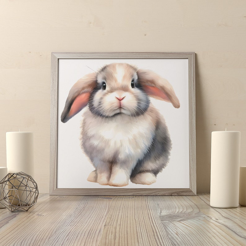 Holland Lop Rabbit, Rabbit Art, Rabbit Poster, Mini Lop, Kids Room ...