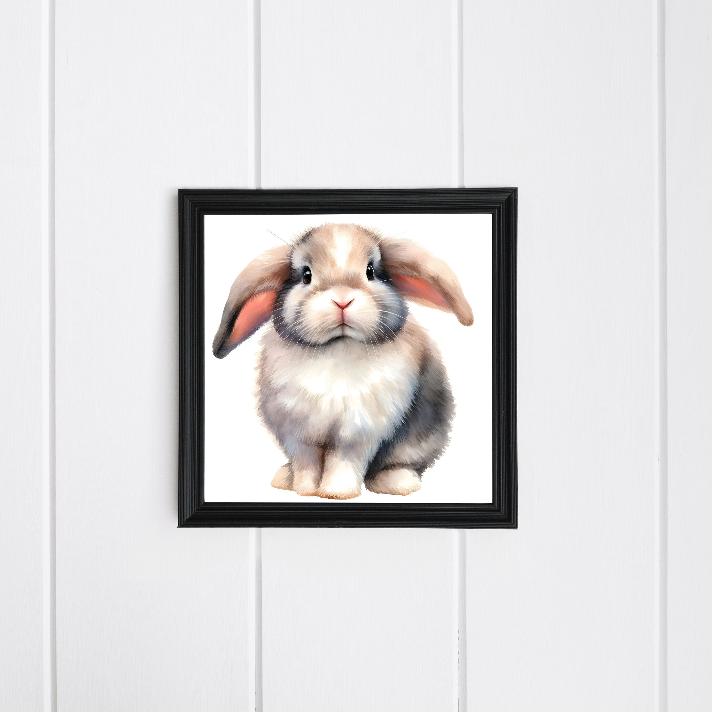 Holland Lop Rabbit, Rabbit Art, Rabbit Poster, Mini Lop, Kids Room ...