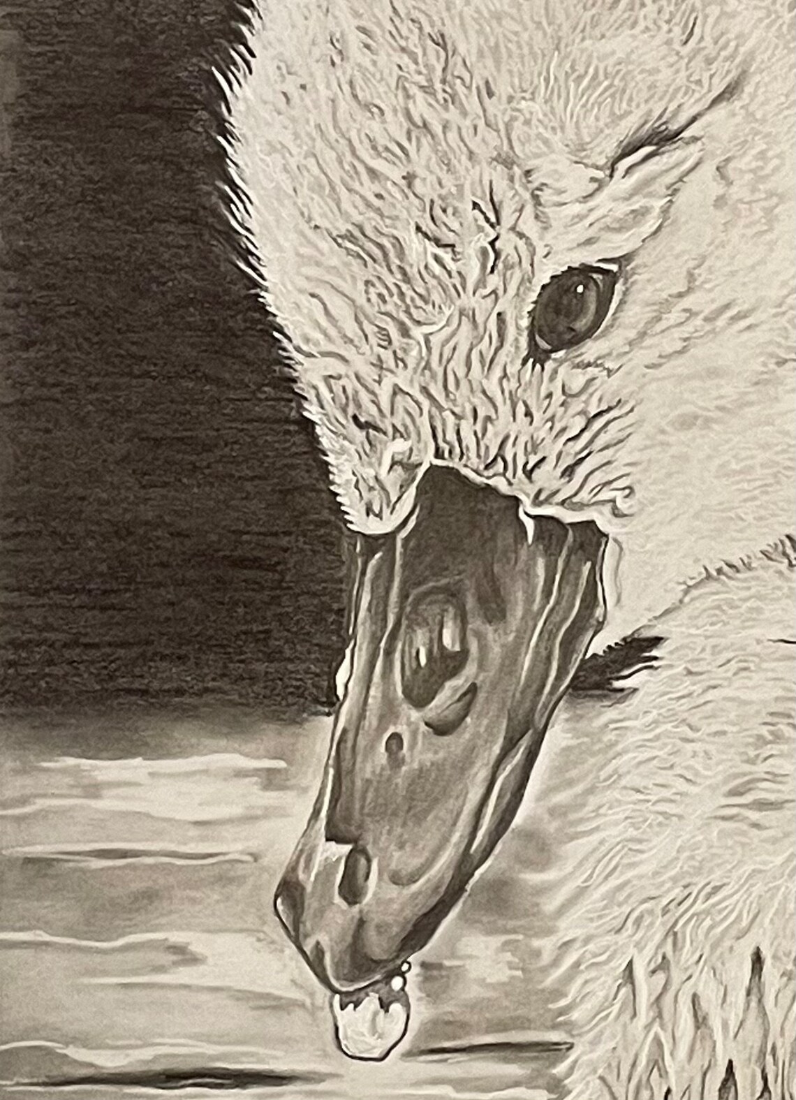 Duck Art Duck Drawing Print Duckling Print Cute Duck Print Duck Lover ...