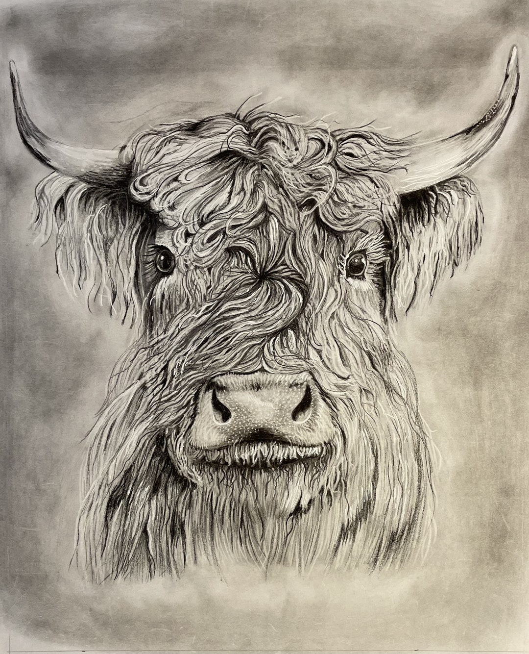 Highland Cow Art| Highland Cow Print| Highland Cow Drawing| Realistic ...