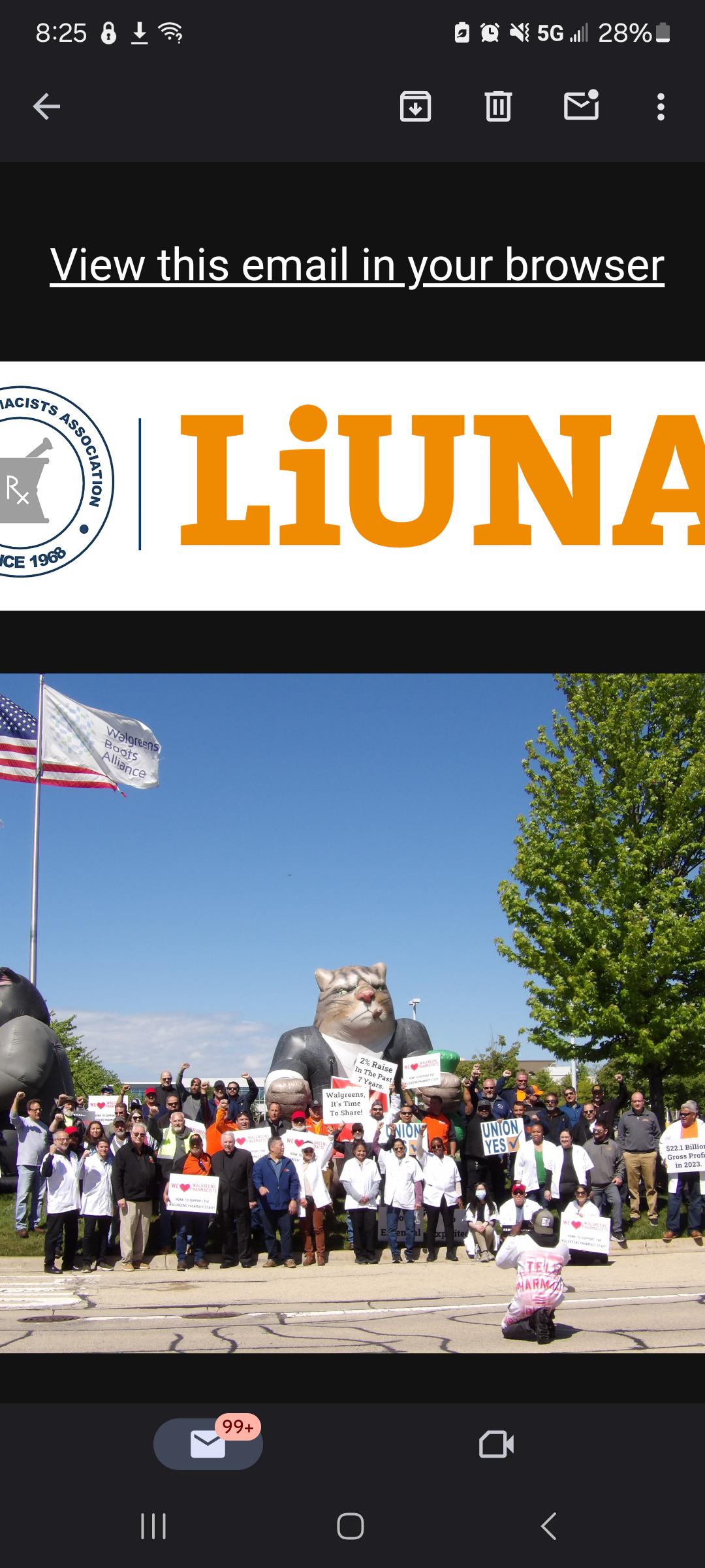 Golden Alexander Seeds - Zizia Aurea - J3natives - 150 Seeds - Etsy